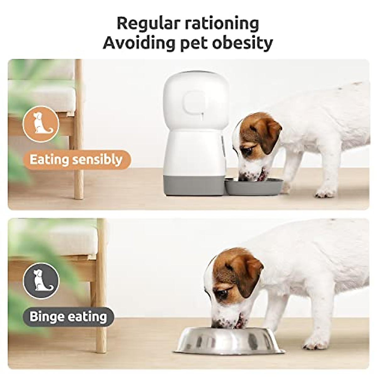 KutoraWorks Automatic Cat Feeder, Dog Food Dispenser with Rotary Lock Lid, Visual Window, Memory Function, Voice Recorder, Stainless Steel Dish, 0-20 Portion Control for 1-4 Meals Daily, 118oz