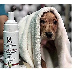 Warren London Foaming Pet Facial | Tear Free Dog Face Wash | Tearless Dog Shampoo for Faces & Dog Eye Stain Remover | Refreshing Cucumber Melon Wash | Made in USA | 8oz
