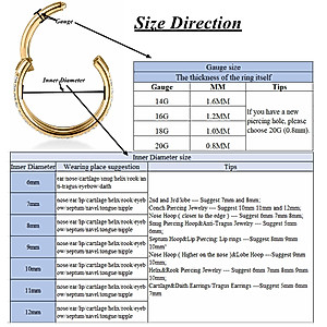 Yrogcu 20G Gold 12mm Hinged Nose Ring Hoop Double Row Diamonds Septum Piercing Jewelry Cartilage Earrings Stainless Steel Helix Earring Hoop Daith Lip Eyebow Belly Ring with Shiny Clear CZ