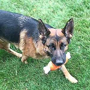 Jalousie 12 Pack Plush Animal Dog Toy Dog Squeaky Toys Cute Pet Plush Toys Stuffed Puppy Chew Toys for Small Medium Dog Puppy Pets - Bulk Dog Toys (12 Pack Cute)