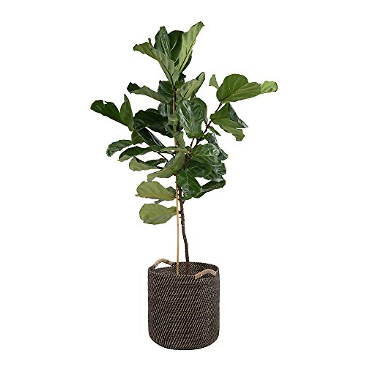 Kouboo Laguna Round Ear Handles, Black-Wash Rattan Storage Basket