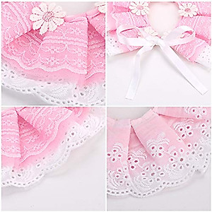 Legendog Cat Bandana for Cats, Princess Cat Costumes for Cats, Cute Lace Dog Bandanas and Cat Crown Accessories for Cats Small Dogs, Pink Outfit for Birthday Party