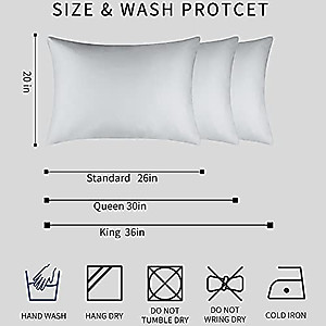 BEIJOEY 100% Mulberry Silk Pillowcase 2 Pack for Hair and Skin,with Hidden Zipper,Both Sides 19 Momme 600 Thread Count Natural Silk Pillow Cover,Soft Breathable Smooth (Dark Green, Standard 20''x26'')