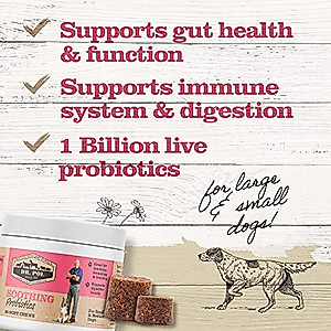 Dr. Pol Probiotic Chews for Dogs -Digestive Support, Immune Support, & Gas Relief - Anti Diarrhea Probiotic Chews for Dogs - 30 ct Large-Giant Brown Small- Medium