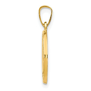 Lex & Lu 14k Yellow Gold Polished and Satin St. Luke Medal Pendant LAL89134