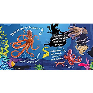 First Animal Facts: Ocean-5 Button Animal Sounds Book