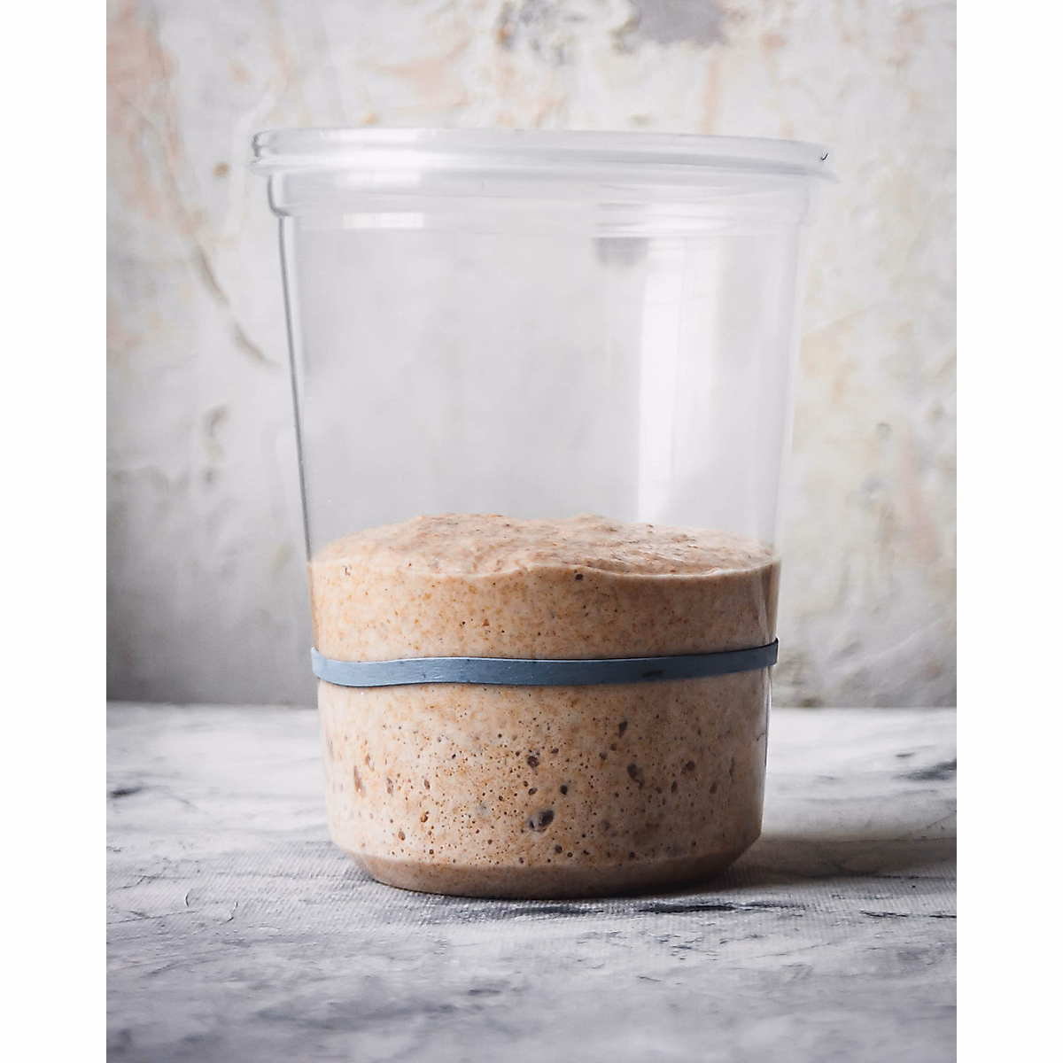 WWJD Worms 900 Year Old Organic Fresh Sourdough Starter Yeast Culture - Dutch/Wales Heritage Starter