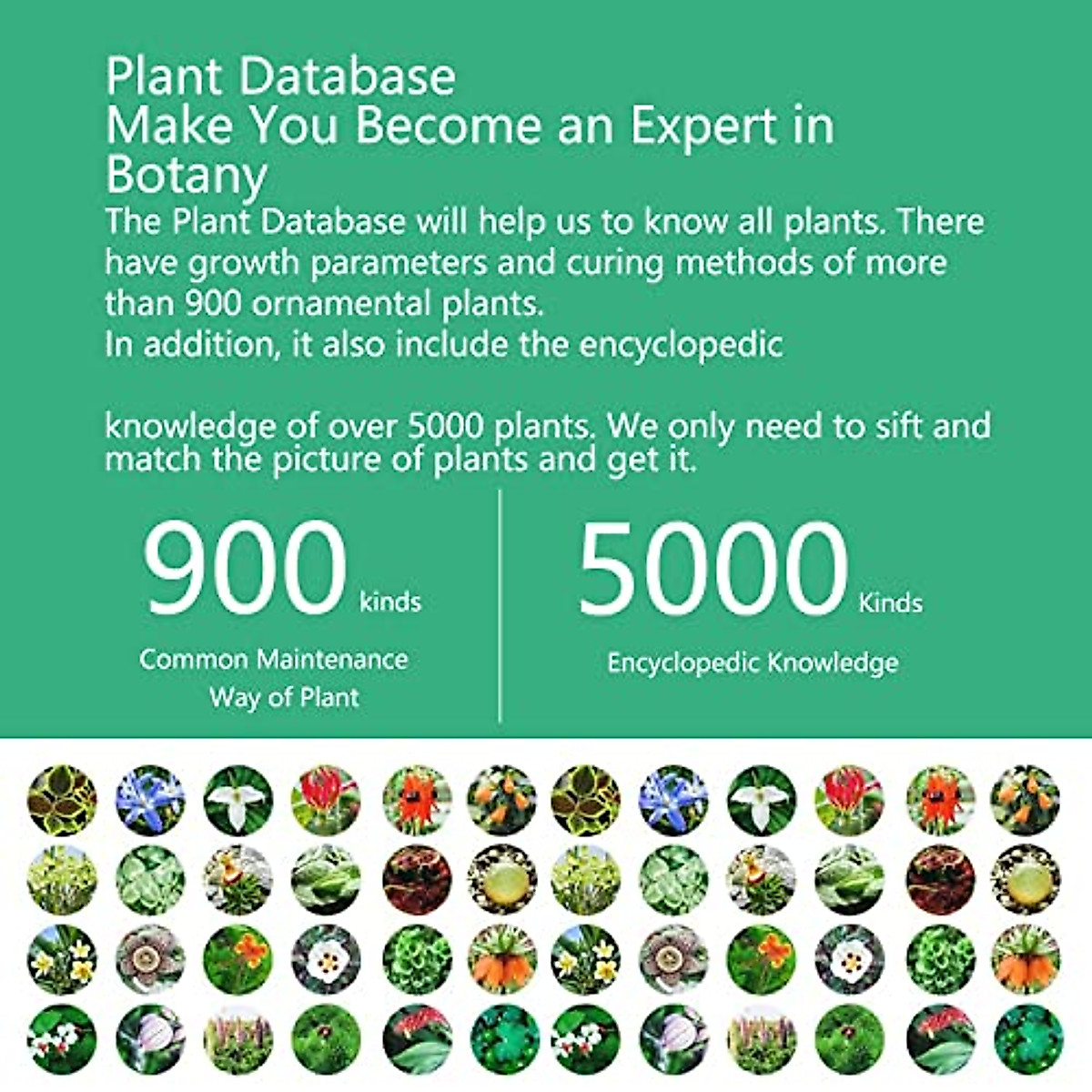 Soil Moisture Meter 4 in 1,Plant Water Monitor,Automatically detect Moisture/Temperature/Light/Fertility,Can Connect to Mobile Phone via Bluetooth,Hygrometer Sensor for Indoor Plants (1pc)