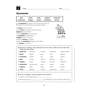 240 Vocabulary Words Kids Need to Know: Grade 6: 24 Ready-To-Reproduce Packets Inside!