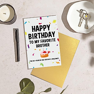 Funny Birthday Card for Brother, Humorous Bro Bday Greeting Card, Hilarious Brother Birthday Card from Sister Brother