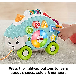Fisher-Price Linkimals Learning Toy Happy Shapes Hedgehog Pull Along With Interactive Music And Lights For Baby And Toddler