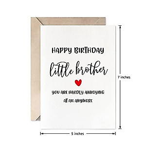Happy Birthday Little Brother Card, Sister Birthday Card Funny, Birthday Gift From Brother Or Sister