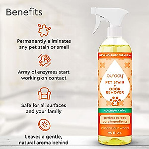 Puracy Natural Platinum Pet Stain and Odor Remover - Plant-Powered Professional Pet Urine Odor Eliminator with Natural Enzymes - Safe and Effective Carpet Pet Stain Remover and Cleaner, 739ml, 25oz
