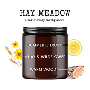 Malicious Women Co - Scorpio Zodiac Soy Candle, 9oz, Handmade Natural Wax, Pink Chandelier Scent, Astrology Gift for Women, Organic, Vegan Candle, Clean Burning, Aromatherapy, Relaxation, Home Décor