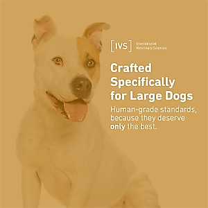 International Veterinary Sciences IVS Lipiderm Gel Cap Skin and Coat Fish Oil Omega 3 and 6 Dietary Supplement for Large Dogs, Made in the USA, 120 Count