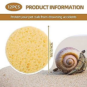 12 Pieces Hermit Crab Sponges Pet Crab Sea Sponges Unbleached Hermit Crab Supplies Sponge Provide Nutrients Crab Sponges Hermit Crab Accessories for Maintaining Hermit Crab Tank Humidity Supplies