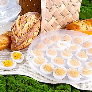 HAKSEN 3PCS Deviled Egg Containers with Lid, Clear Deviled Egg Platter Egg Carrier Egg Holder Deviled Egg Keeper Easter Thanksgiving Party Home Kitchen Supplies