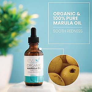 Organic Marula Oil for Face and Hair, 100% Virgin Moisturizing Beauty Oil - Cold Pressed, Natural Anti-Aging Formula - Non-greasy, Unrefined, Rich in Omegas & Antioxidants - 2oz.