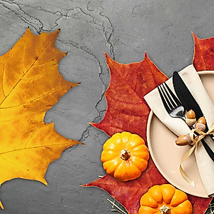 50 Pack Mother's Day Father's Day Table Mats Mexican Disposable July 4th Patriotic Paper Place Mats Fall Placemats Paper Valentine's Day Mats for Home Dining Table Decor(Leaf Style)