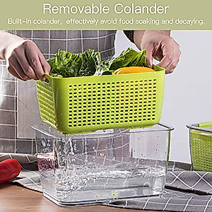 LUXEAR Fresh Container, 3PACK Produce Saver Container BPA Free Fridge Organizer for Vegetable Fruit and Salad Partitioned Food Storage Container with Vents Stay Fresh Containers Not Dishwashers Safe