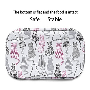 Lunch Box Women Boys Girls Grey Pink Cats Lunch Bag Insulated Thermos Tote with Water Bottle Holder & Removable Shoulder Strap for Back to School Travel Work