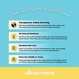 hotspot pets Premium 12'' Beef Trachea for Dogs Large - All Natural Long Lasting Dog Chews Rich in Glucosamine & Chondroitin 100% Beef Chews Single Ingredient Grass Fed Dog Treats