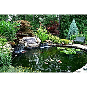 dashengdianzi Pond Liner, 6' x 10' Preformed Pond Liner Pond Skins for Fish Ponds, Waterfall, Streams Fountains and Water Gardens