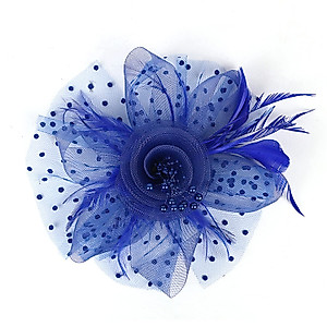 DOOVID Fascinators Hat for Women Tea Party Headband Kentucky Derby Wedding Cocktail Flower Mesh Feathers Hair Clip Royal Blue
