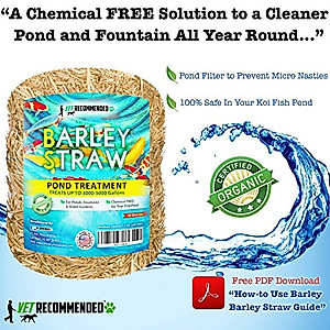 Vet Recommended Barley Straw for Fish Ponds and Fountain (16 Oz). Treats up to 3000 to 5000 Gallons, 100% Safe & Natural Pond Cleaner. Keeps Your Water Garden Clean & Fresh. Made in USA
