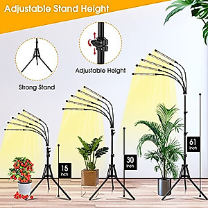 wolezek Grow Light with Stand, [5-Heads] LED Grow Lights for Indoor Plants Full Spectrum, Plant Grow Lamp 3000K 6500K 660nm, 4/8/12H Auto Timer, 12V 3A DC Adapter, Tripod 15-61in