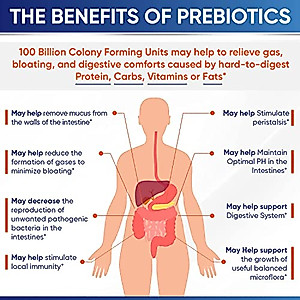 Organic Probiotics 100 Billion CFU, Dr Formulated Probiotics for Women, Probiotics for Men and Adults, Complete Shelf Stable Probiotic Supplement with Prebiotics & Digestive Enzymes; 30 Capsules