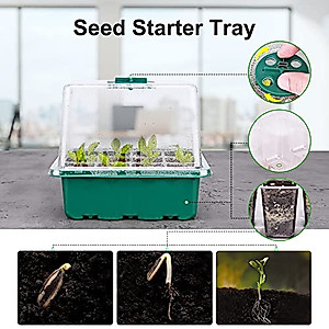 Winpull Seed Starter Tray with Upgraded Grow Light Seedling Heat Mat, 5 Pack Seedling Starter Trays with Time Controller, Seed Starting Kit with Adjustable Humidity Dome and Base for Plant Germination