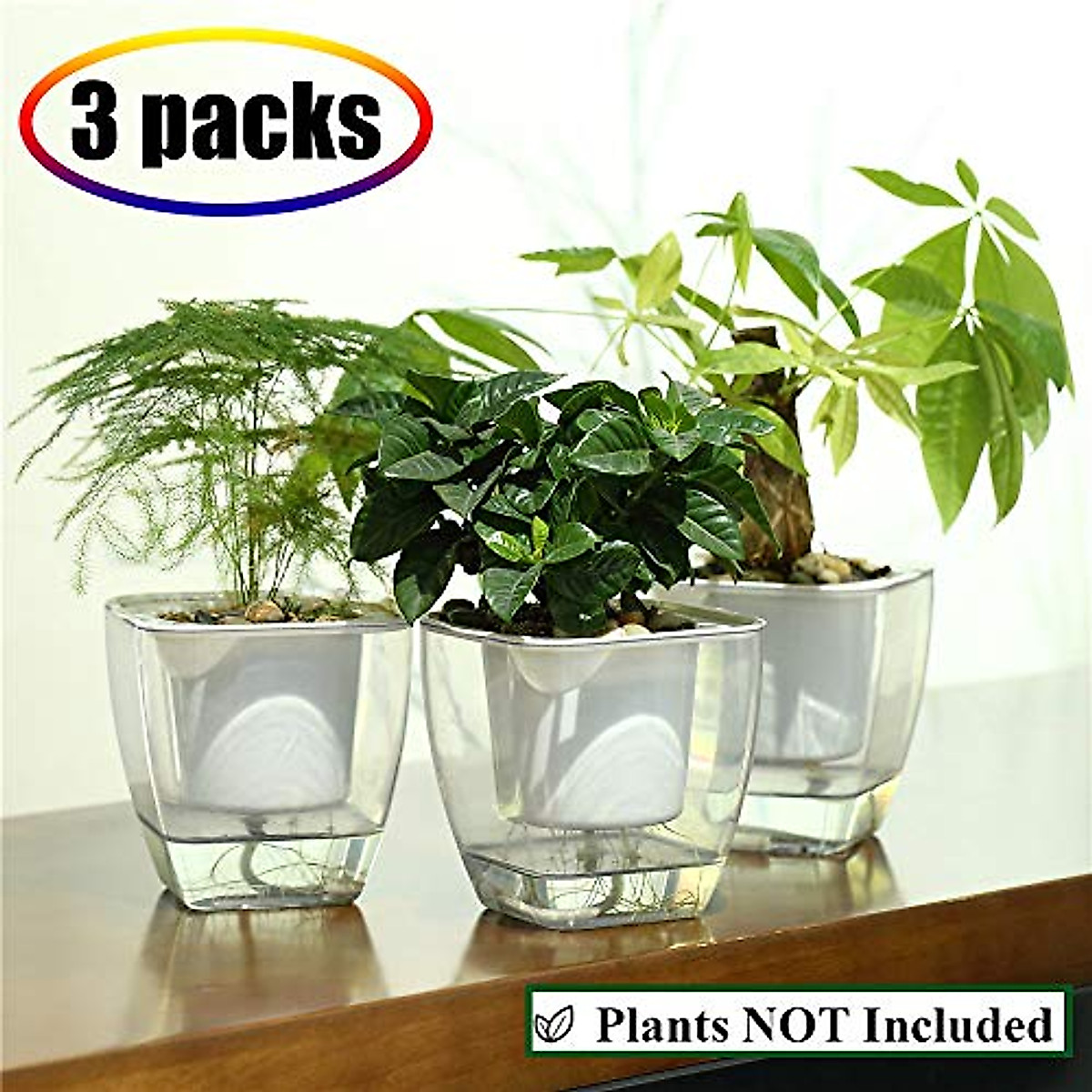 Self Watering Planter , FENGZHITAO African Violet Pots, Clear Plastic Automatic-Watering Planter Flower Pot Square Plant Pot for All House Plants, Succulents, Herb, African Violets (3 Packs Small)
