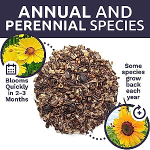 Bee Friendly Wildflower Seed Mix - Bulk 1 Ounce Packet - Over 7,500 Open Pollinated Seeds - Save The Bees!