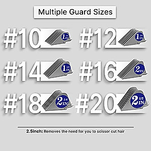 Hair Clipper Guards Professional Wahl Clipper Guards with 6 Cutting Lengths from 1.25 in & 1.5 in & 1.75 in & 2 in & 2.25 in & 2.5 in Fits Most Wahl Full Size Hair Clippers (Gray)