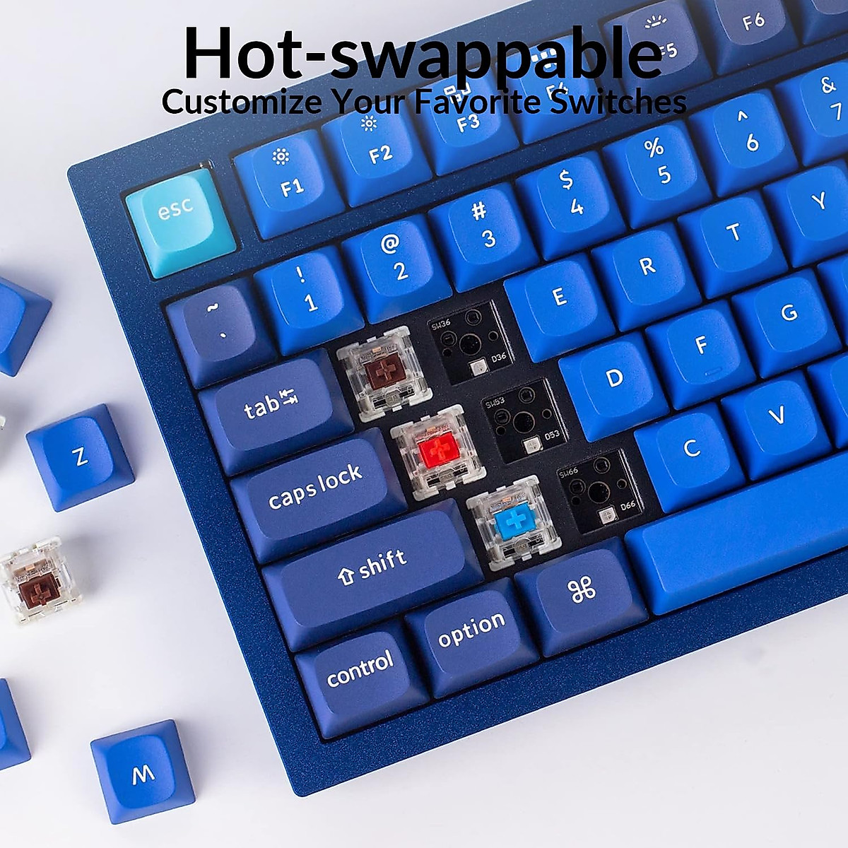 Keychron Q3 Wired Custom Mechanical Keyboard Knob Version, TKL Tenkeyless QMK/VIA Programmable Macro with Hot-swappable Gateron G Pro Red Switch Double Gasket Compatible with Mac Windows Linux (Blue)