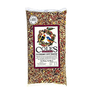 Cole's NB05 Nutberry Suet Blend Bird Seed, 5-Pound