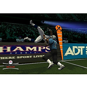 Arena Football: Road to Glory (Renewed)