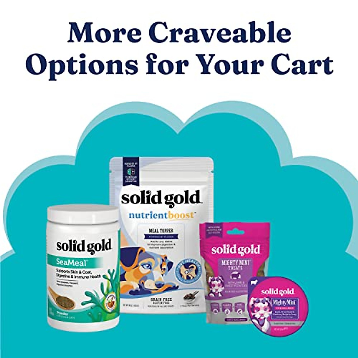 Solid Gold Small Breed Dog Food - Wee Bit Whole Grain Made with Real Bison, Brown Rice, and Pearled Barley - High Fiber, Probiotic, Natural Dry Dog Food for Small Dogs with Sensitive Stomachs