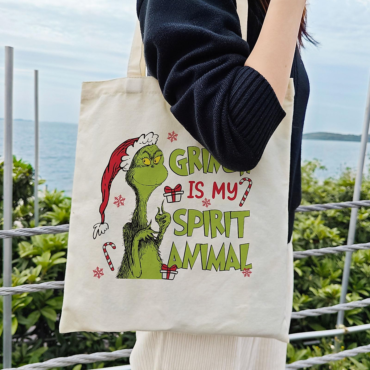 Dlzdn Christmas Canvas Tote Bag For Women Aesthetic Monster Is My Spirit Animal Tote Bag Shopping Grocery Bag Beach Bag Gifts for Women Teacher Bag Reusable Grocery Bag