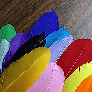 120pcs Colorful Goose Feathers for DIY Crafts, Jewelry Making, Wedding, Home or Party Decorations, 12 Colors (6-8 Inches)
