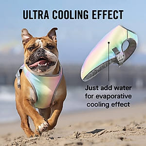 Canada Pooch Dog Cooling Vest - Evaporative Cooling Vest for Dogs with Breathable Mesh Material & Reflective Lining, Adjustable Dog Cooling Vest (26 (25-27" Back Length), Rainbow)