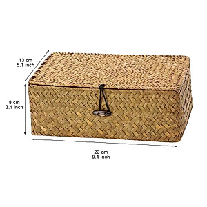 Shelf Baskets Rattan Storage Basket with Lid Handwoven Seagrass Basket Multipurpose Organizer for Snack Toys Rectangular Household Basket for Shelf Wardrobe 23x13x8cm