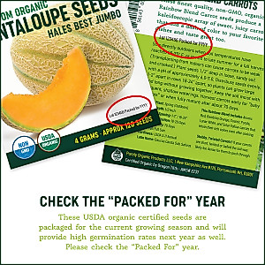 Organic Onion Seeds (Walla Walla) - Approx 200 Seeds - USDA Organic, Non-GMO, Open Pollinated, Heirloom, USA Origin