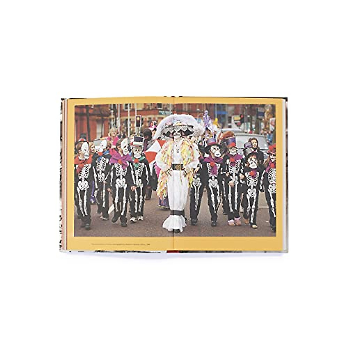 The Day of the Dead: A Visual Compendium