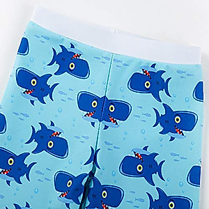 Toddler Baby Boys Two Pieces Swimsuit Swimwear Set Kids Bathing Suit Rash Guards with Hat UPF 50+ (9-18 Months, Swim Shark)