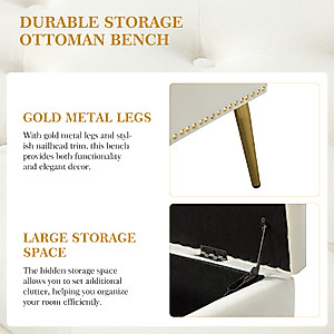 HULALA HOME Modern Velvet Storage Ottoman Bench with Gold Base & Nailhead Trim, Upholstered Bedroom Bench for End of Bed, Button-Tufted Footstool for Entryway Living Room Dining Room, Ivory