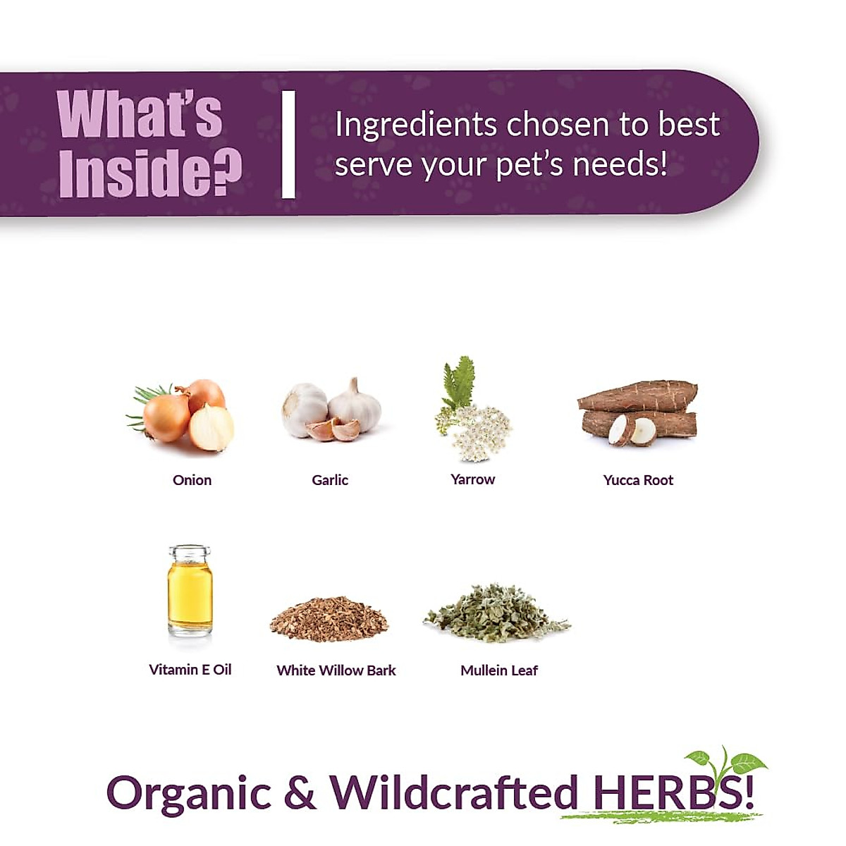 Amber NaturalZ Otaxium Drops Herbal Supplement for Dogs, Cats, Birds, Guinea Pigs, and Rabbits | Pet Herbal Supplement for Ear Health | 1 Fluid Ounce Glass Bottle | Manufactured in The USA