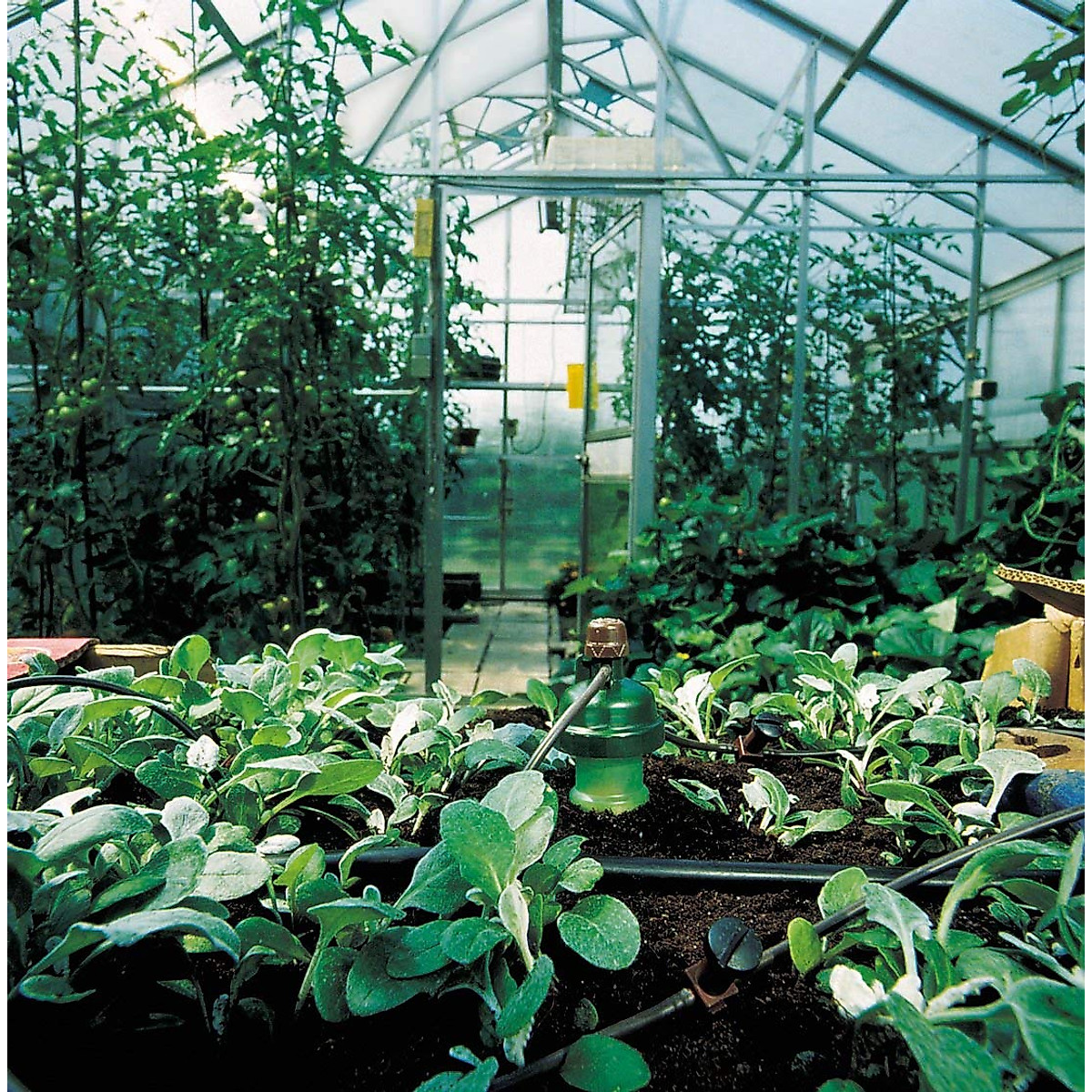 Blumat Medium Box Drip Irrigation System - Automatic Drip Irrigation Kits for Up to 12 Plants (12 Pack), Garden Watering System Up to 12 Plants - Irrigation System for Garden, Patio & Hanging Baskets