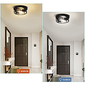 Baocuz 2-Light Flush Mount Ceiling Light Fixture, Farmhouse Light Fixtures Ceiling Mount for Hallway, Metal Cage Black Ceiling Lighting Lamp for Kitchen, Living Room, Entryway (2 Pack)